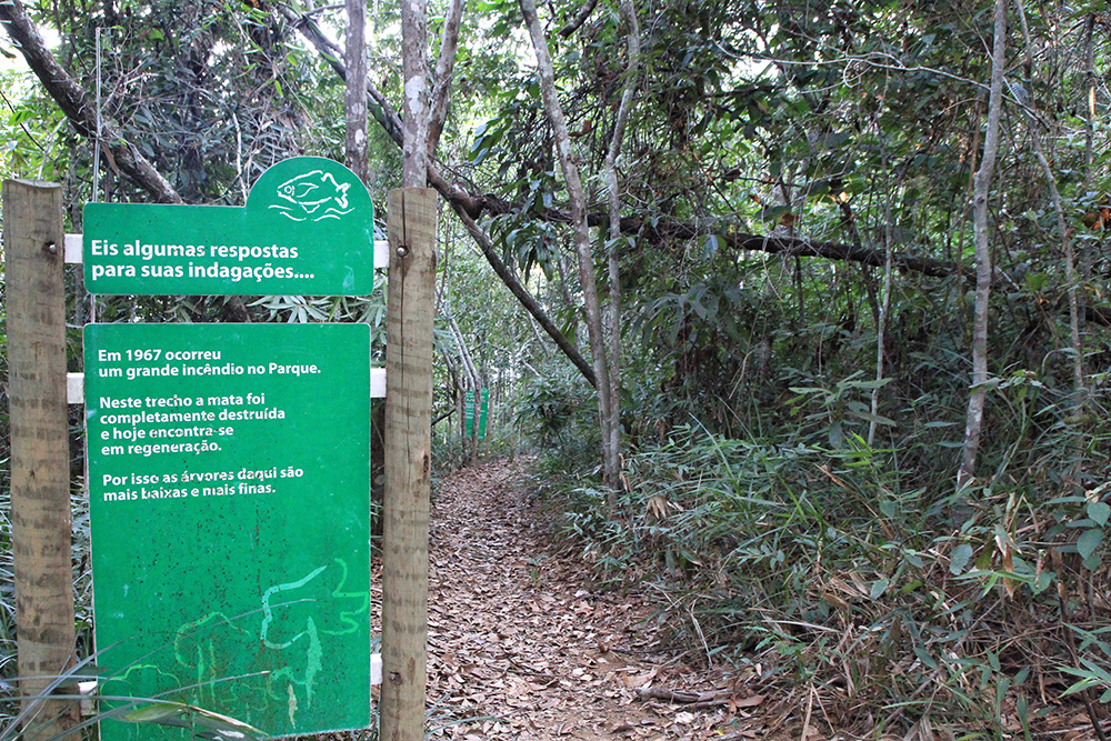 Rio Doce: conheça o Parque Estadual em Minas Gerais